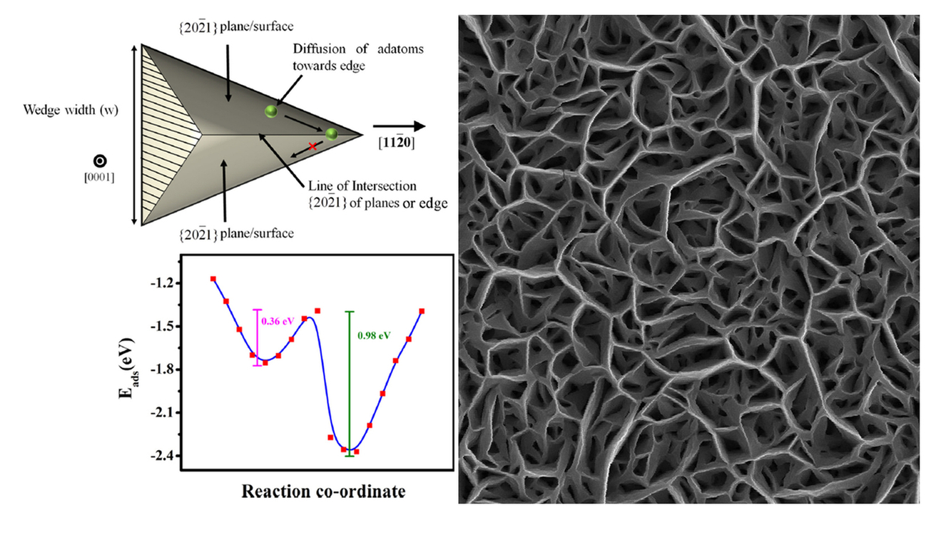 Edge Enhanced Growth Induced Shape Transition In The Formation Of Gan